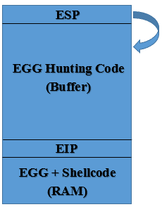 EGG HUNTING | WebOrion™ Cyber Security and Vulnerability Assessment ...